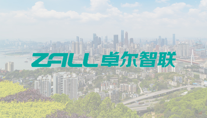 B2B e-commerce group in China, ZALL, aims for global name with ...
