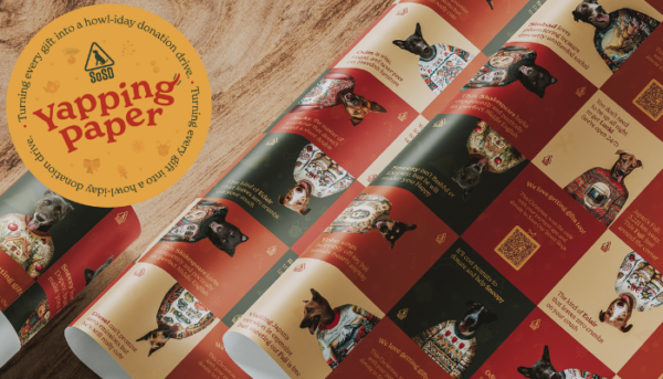 Save Our Street Dogs turns presents into donation points through ...